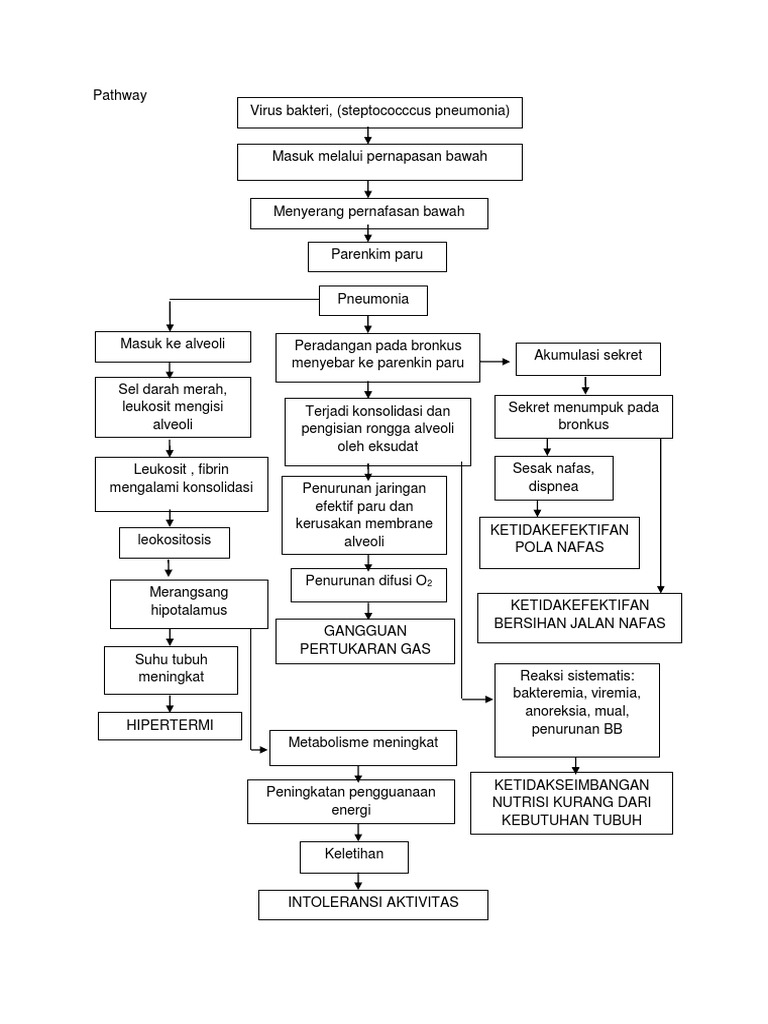 Pathway Pneumonia | PDF