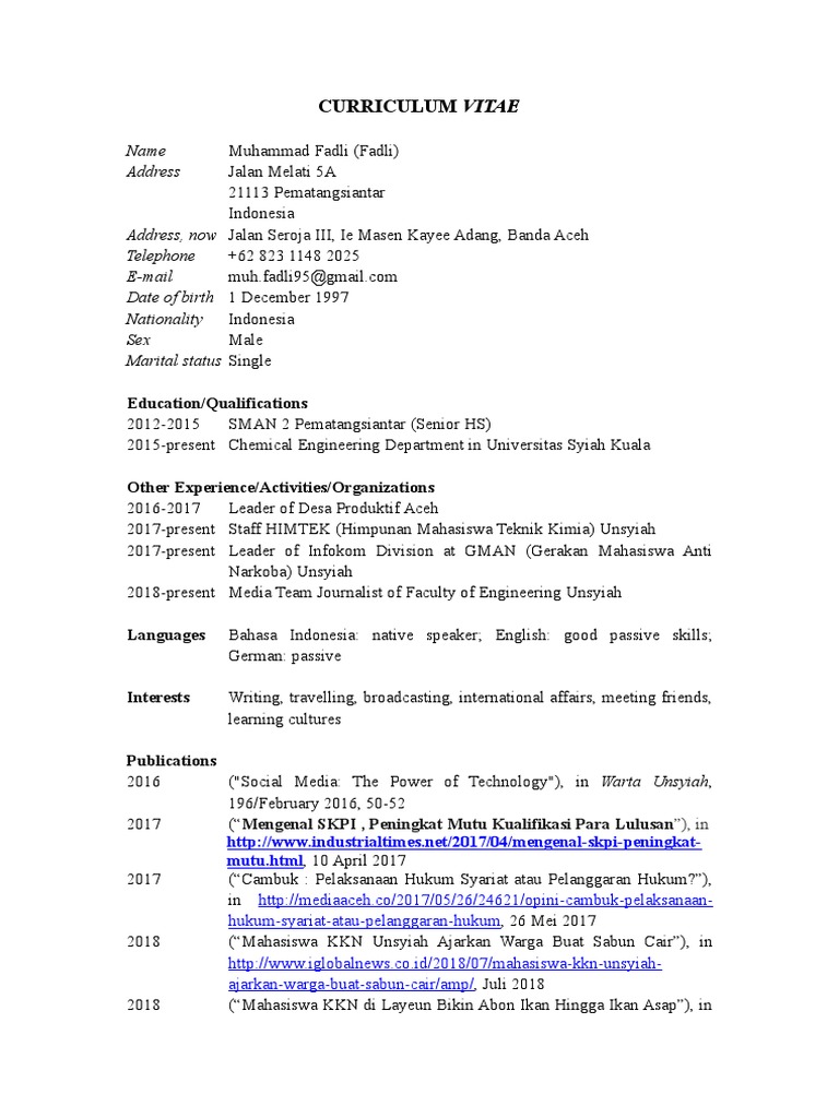 Curriculum Vitae Example | PDF