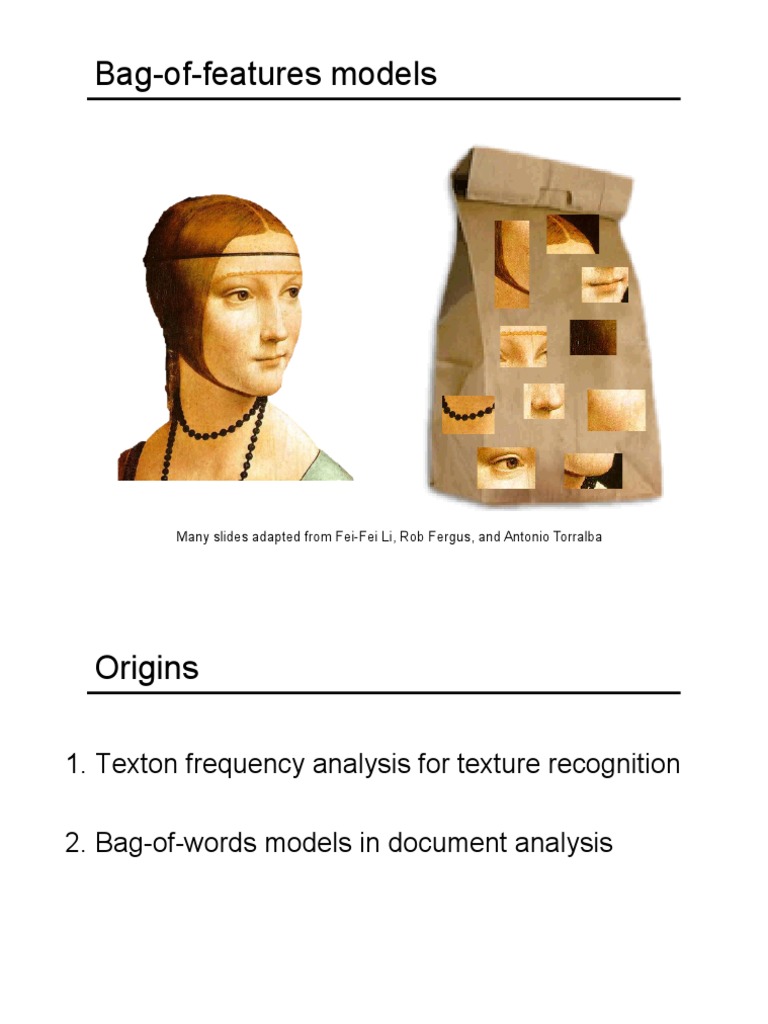 Bag of Features | PDF | Scientific Modeling | Computational Science