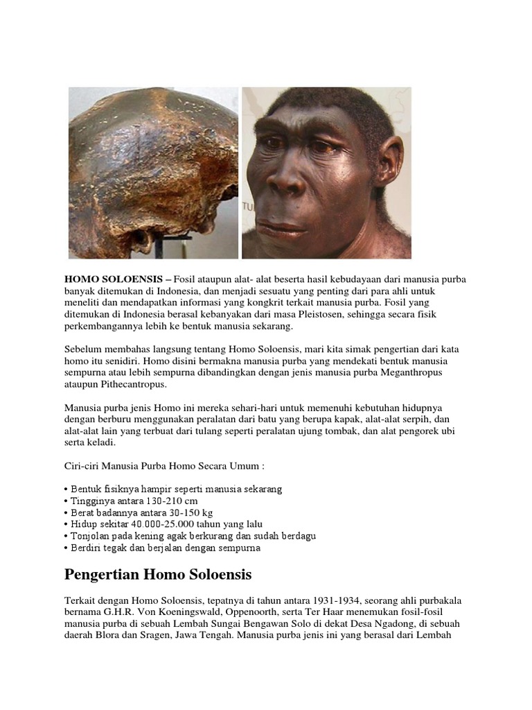 Homo Soloensis: Fosil dan Budaya | PDF