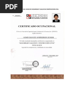 Certificado Sencico | PDF