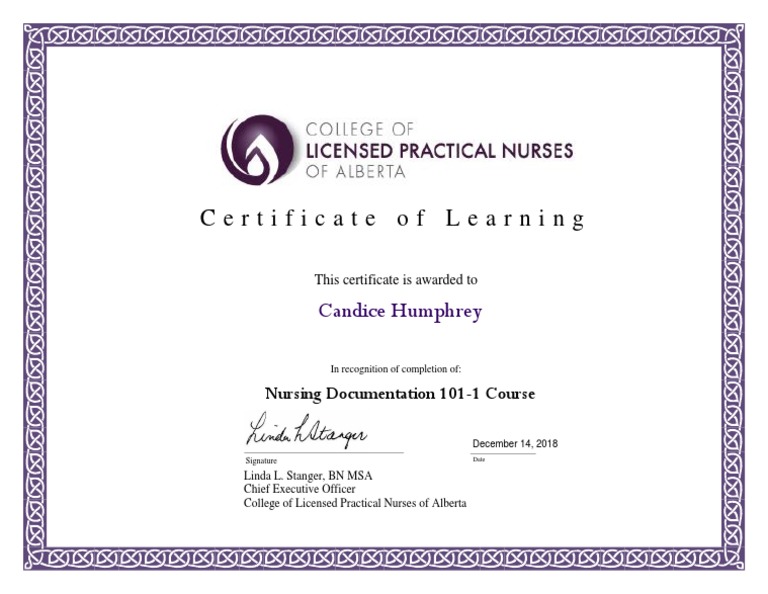Nursing Documentation Course Certificate | PDF