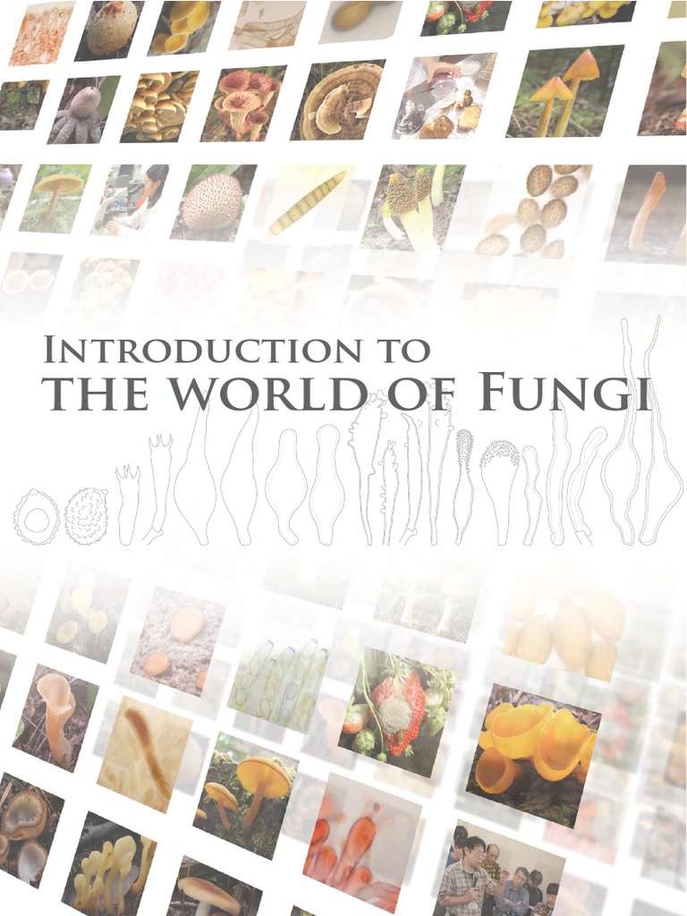 Introduction To The World of FUNGI PDF | PDF | Mushroom | Fungus