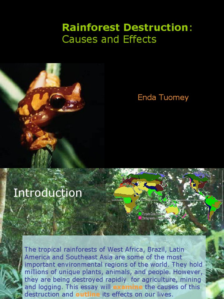 Environmental Advocates Alert | PDF | Rainforest | Ecology