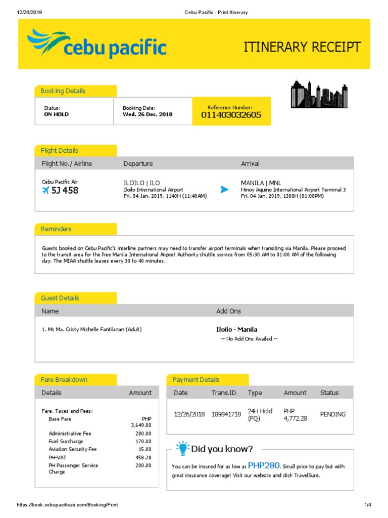 Cebu Pacific - Example | Download Free PDF | Aviation | Business