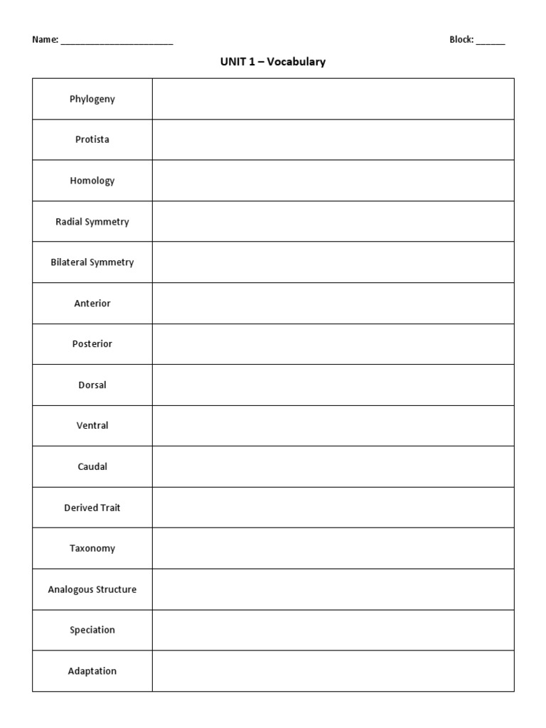 Unit 1 - Vocabulary | PDF