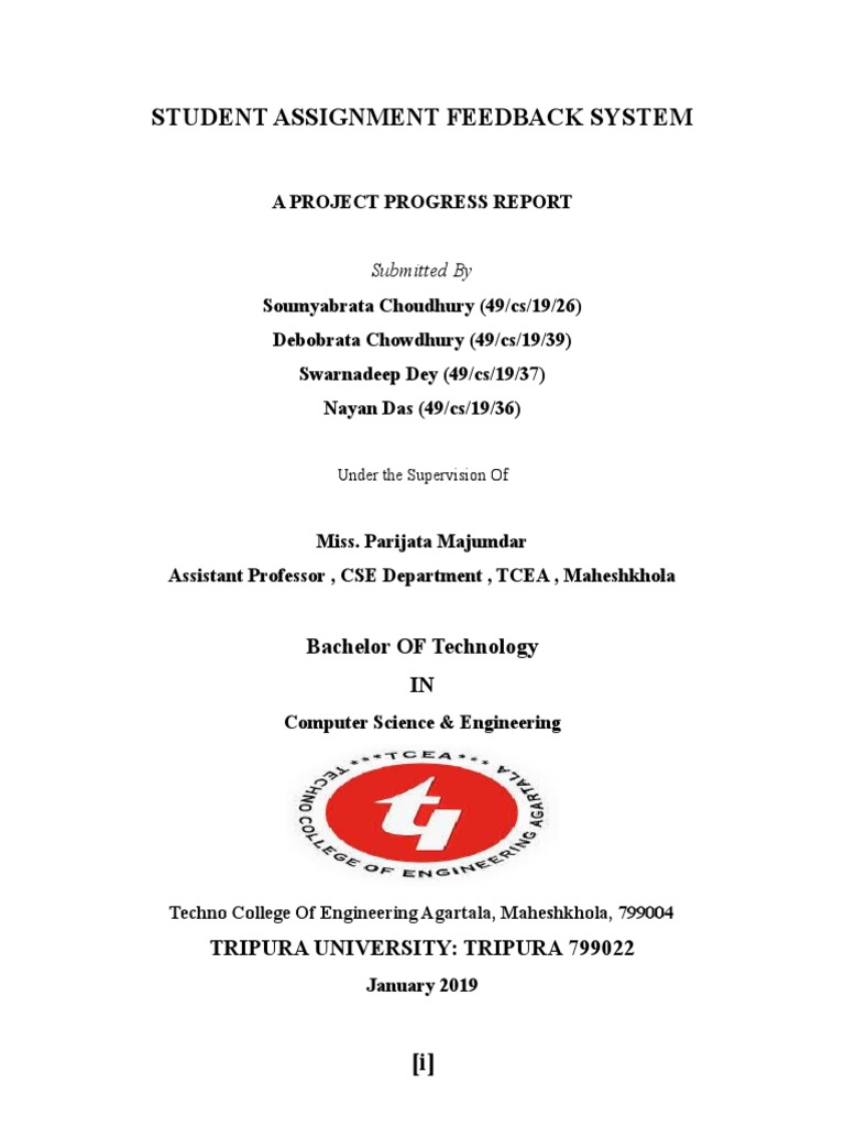 Online Assignment Feedback System Report | PDF | Software Testing ...