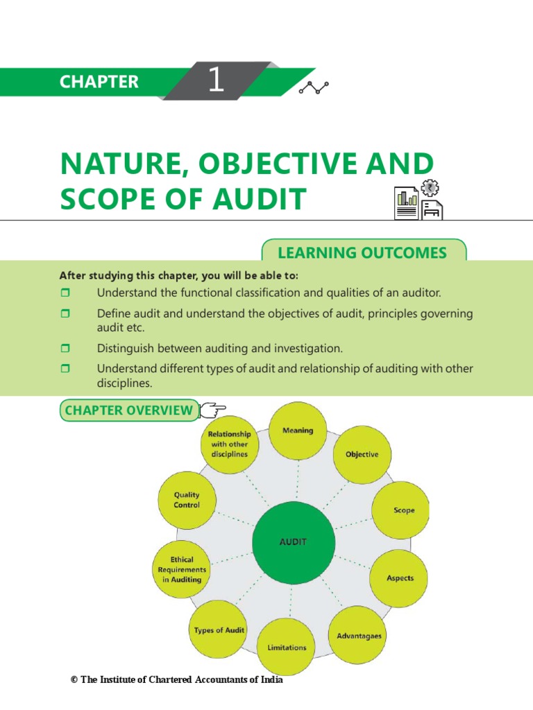 1 Objective PDF | PDF | Financial Audit | Audit