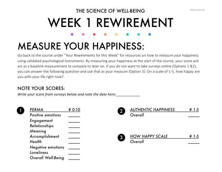Measuring Happiness | PDF