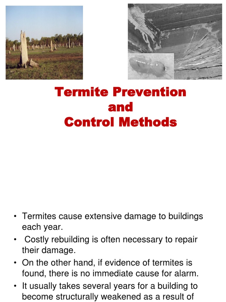Termite Prevention and Control Methods | PDF | Basement | Soil