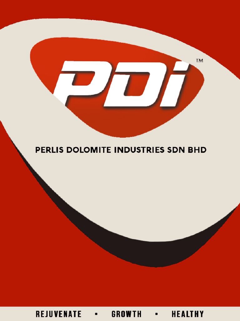 PDI Brochure (Eng) | PDF