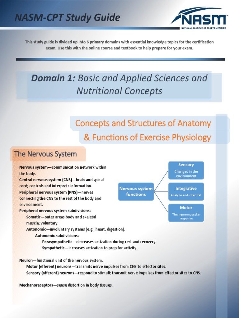 NASM-CPT Study Guide: Domain 1: Basic and Applied Sciences and | PDF ...