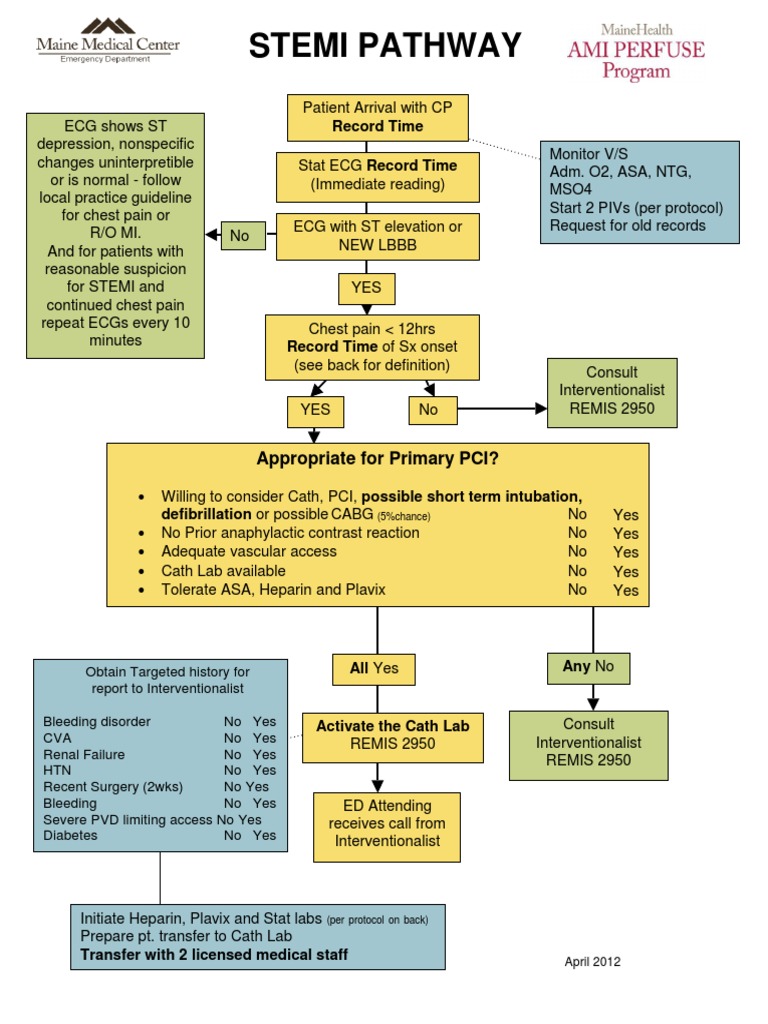 Stemi Pathway: Record Time | PDF | Myocardial Infarction | Medical ...