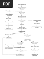 Pathway Febris | PDF