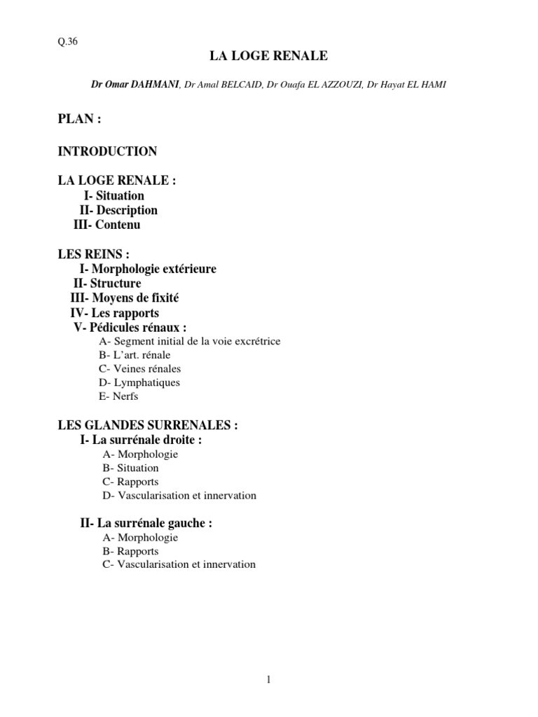 Anatomie de la Loge Rénale et Pédicule | PDF | Péritoine | Rein