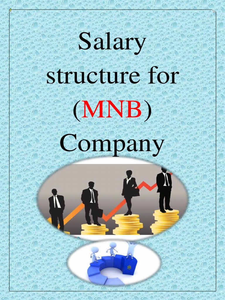 MNB Company Salary Structure | PDF
