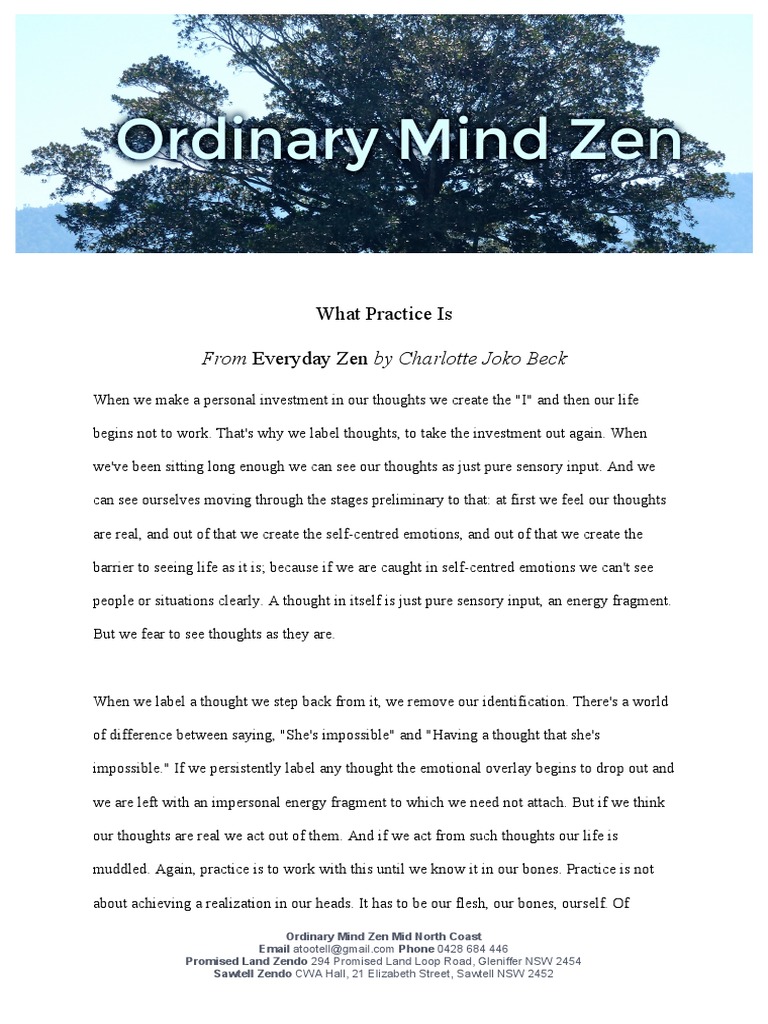 Ordinary Mind Zen (2018) What Practice Is | PDF | Thought ...
