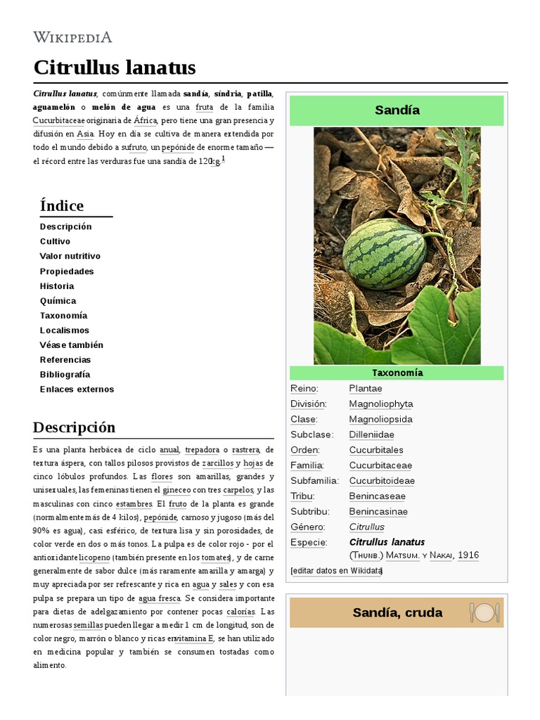 Citrullus Lanatus | PDF | Sandía | Plantas comestibles