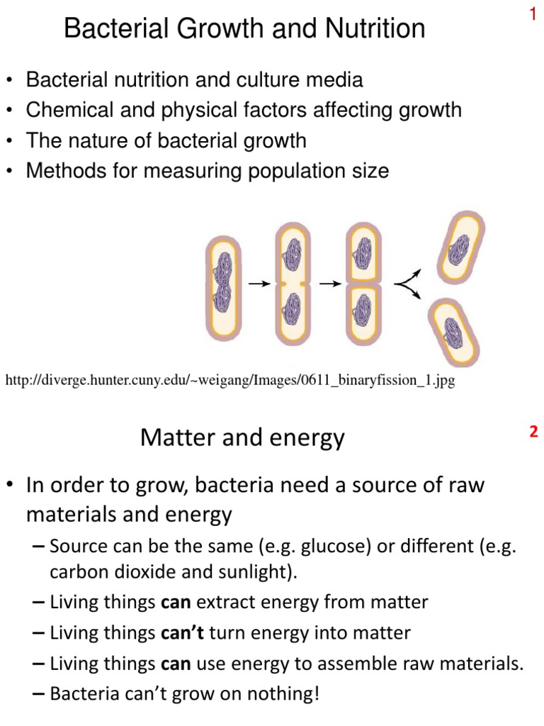 Bacterial Growth and Nutrition | PDF | Nutrients | Bacteria