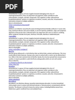 Dc23013a RCR Prostate Cancer Consent Form 5 | PDF | Urinary ...