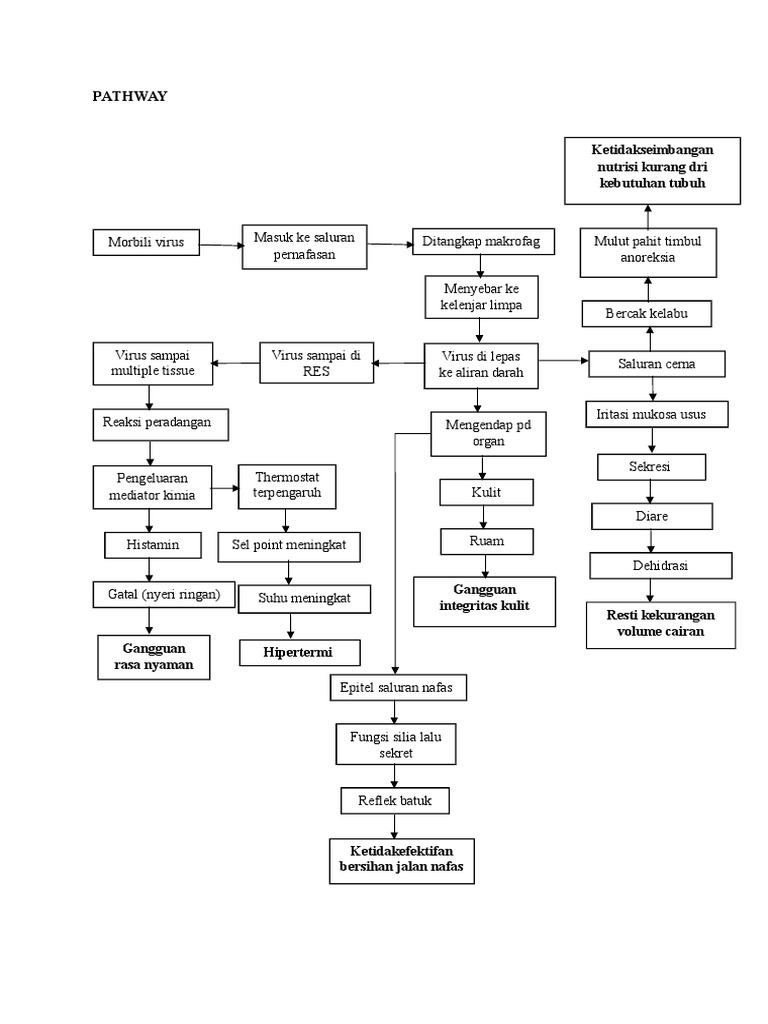Pathway Campak | PDF
