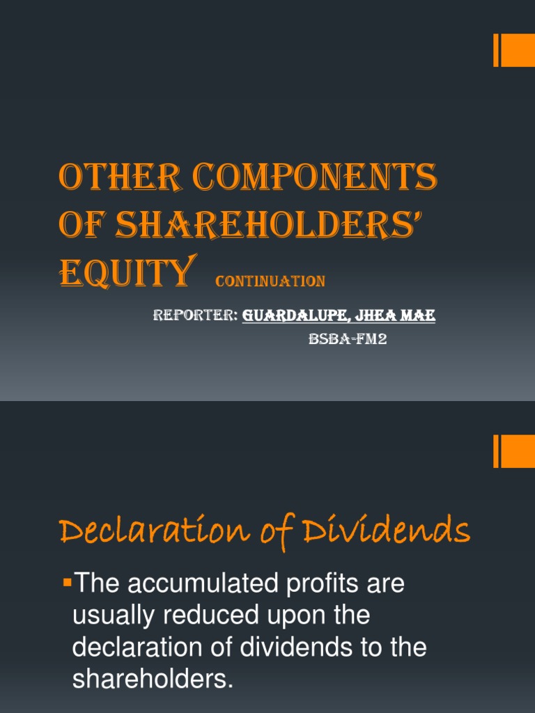 Other Components of Shareholders' Equity | PDF | Book Value ...