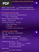 Anatomie des anses grêles et mésentère | PDF | Péritoine | Spécialités ...