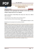 NSIC Seed Variety Catalogue 2023 | PDF | Rice | Organisms