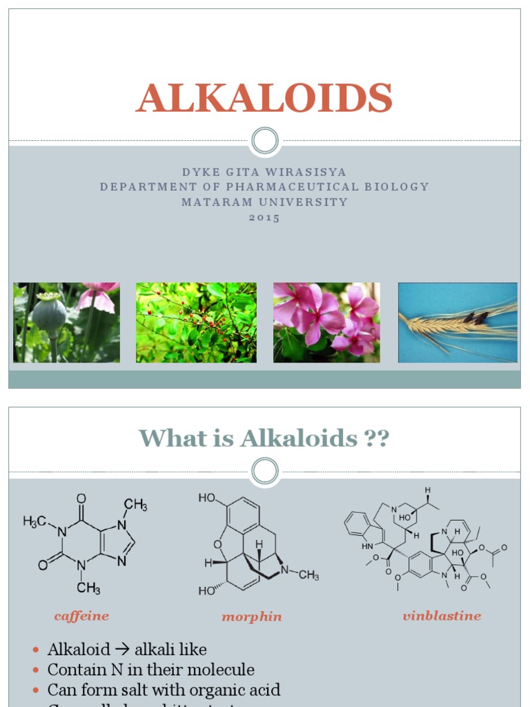 Alkaloids: Dyke Gitawirasisya Department of Pharmaceutical Biology ...