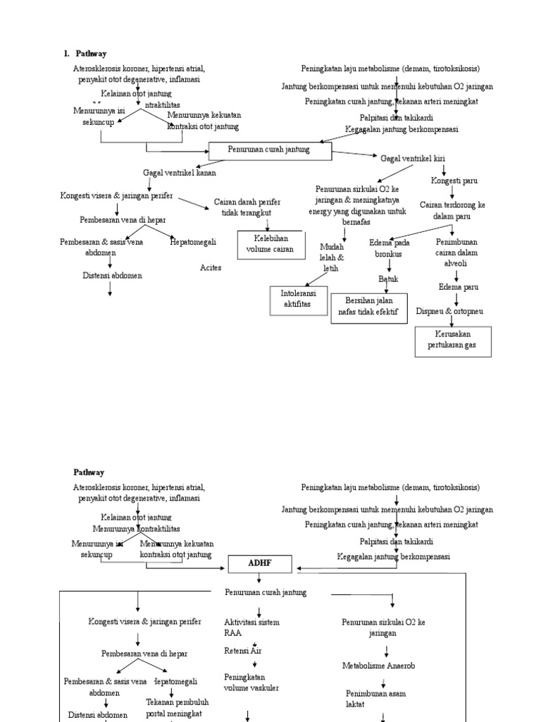 Pathway ADHF Atika | PDF