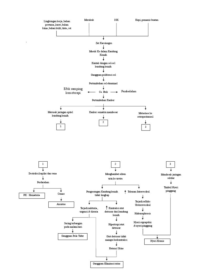 Pathway Ca Buli | PDF