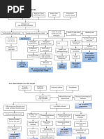 Pathway Febris | PDF