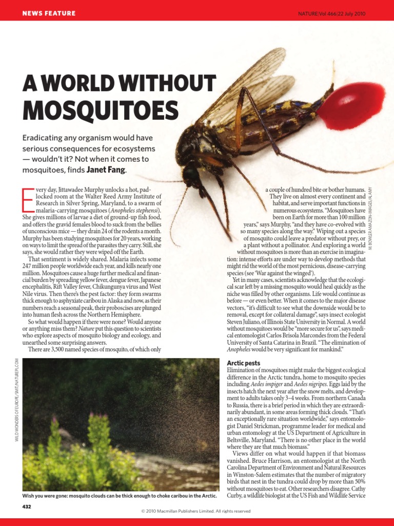 A World Without Mosquitoes | PDF