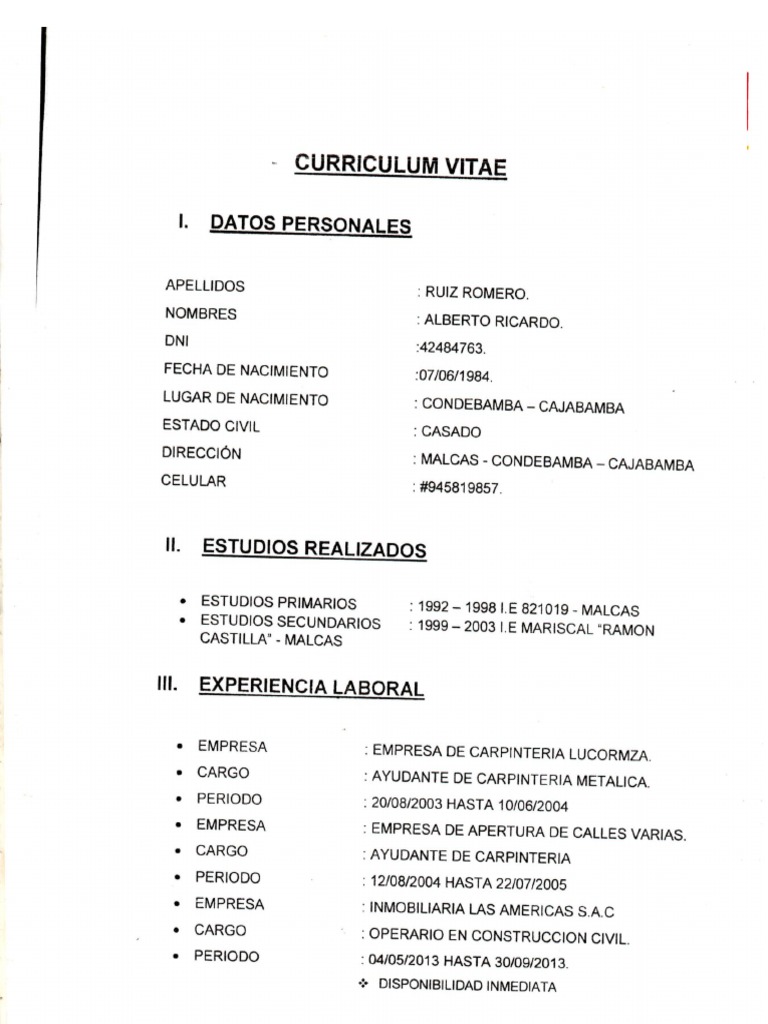 Alan CV | PDF