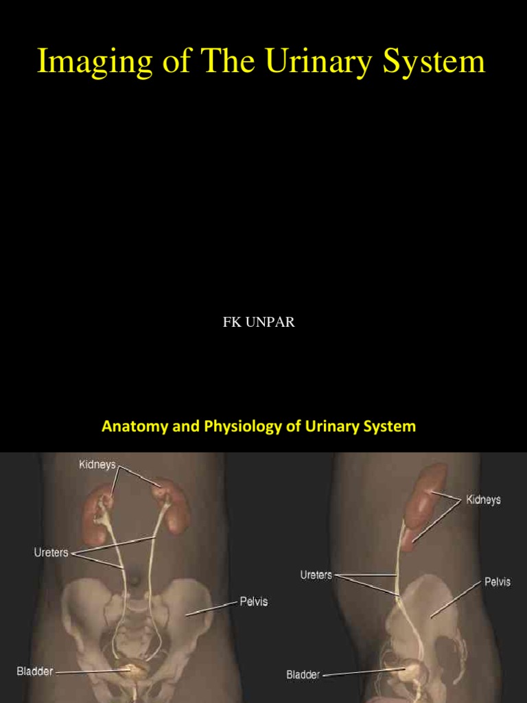 Imaging Tractus Urinary | PDF | Urology | Clinical Medicine