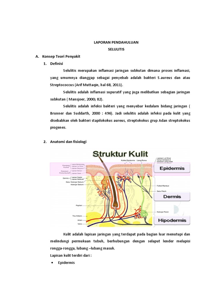 Selulitis | PDF