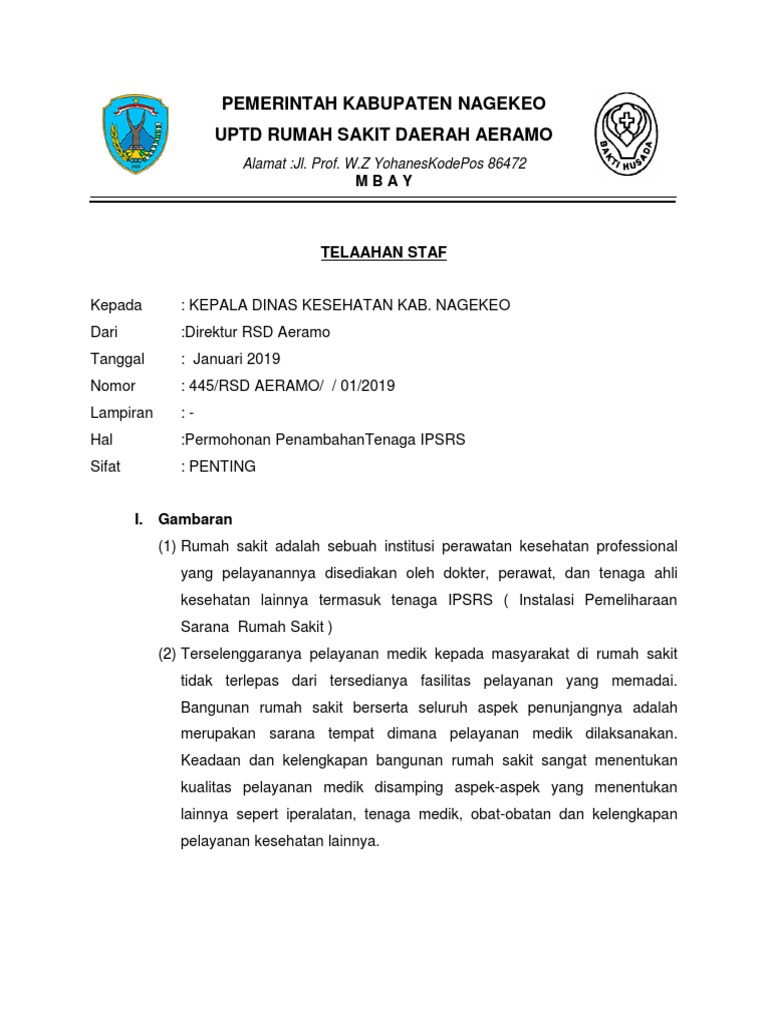 Surat Telaahan Staf IPSRS | PDF | Kesehatan Holistik | Teknologi & Rekayasa