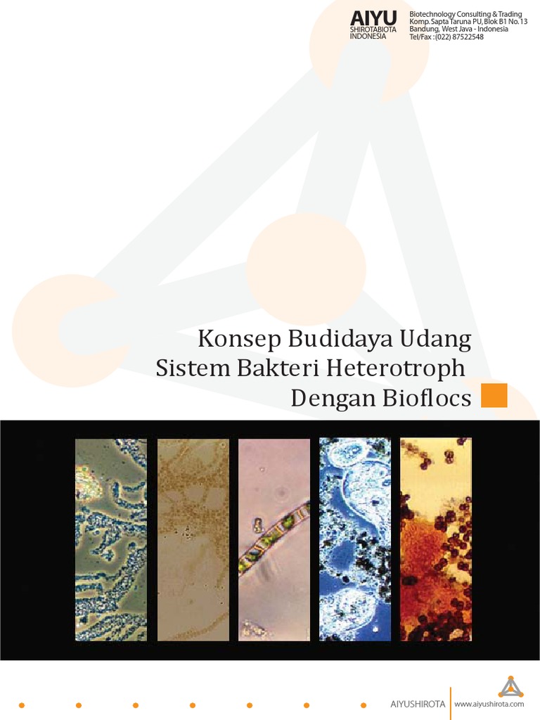 Konsep Budidaya Udang PDF | PDF