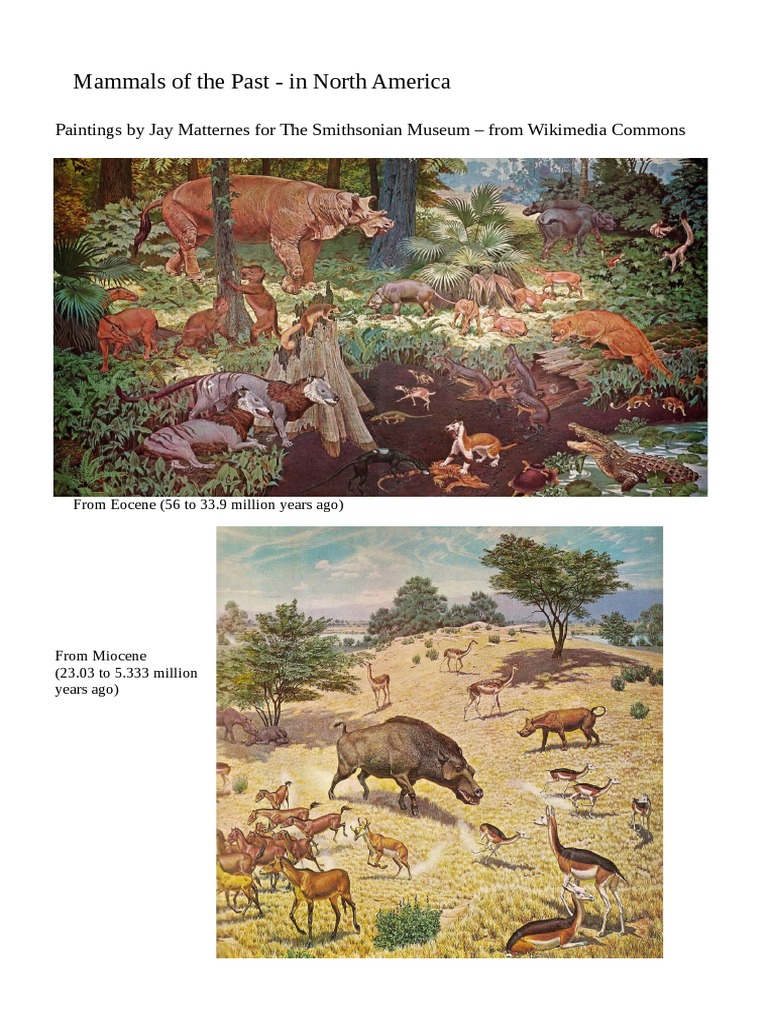 North America's Ancient Mammals | PDF