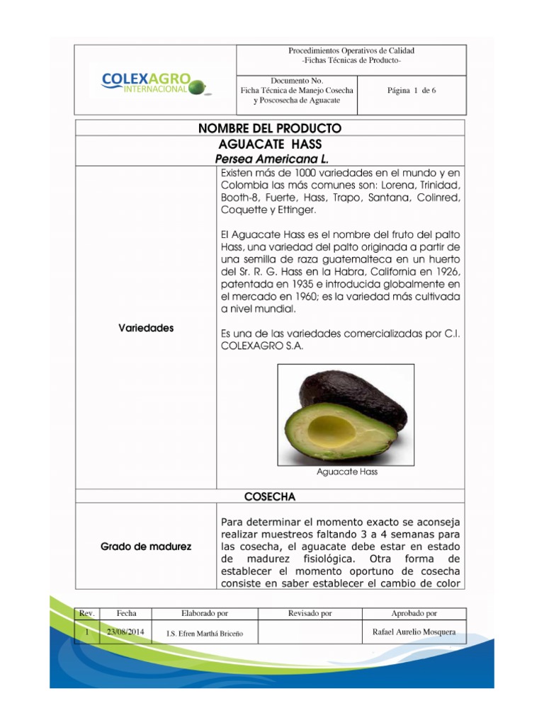 Ficha Tecnica Aguacate Hass | PDF