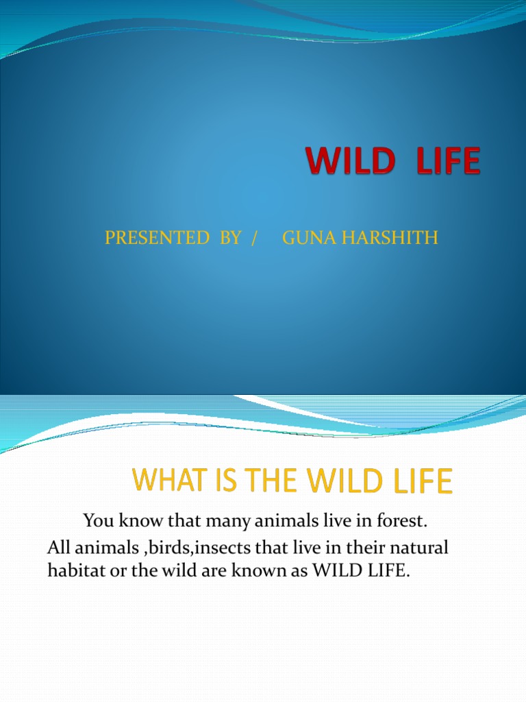 WILD LIFE Story | PDF