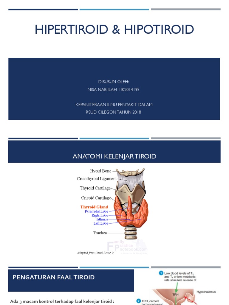 Hipertiroid & Hipotiroid | PDF