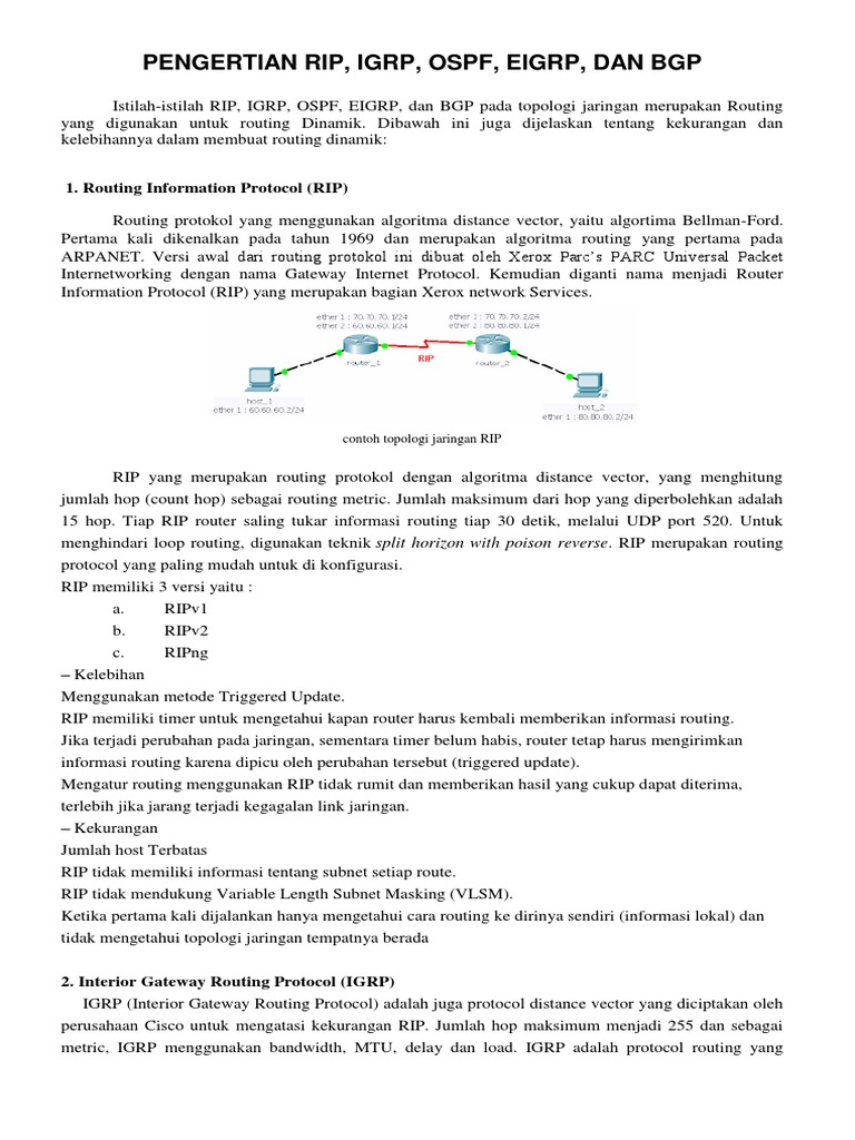 Pengertian Rip, Igrp, Ospf, Eigrp, Dan BGP | PDF