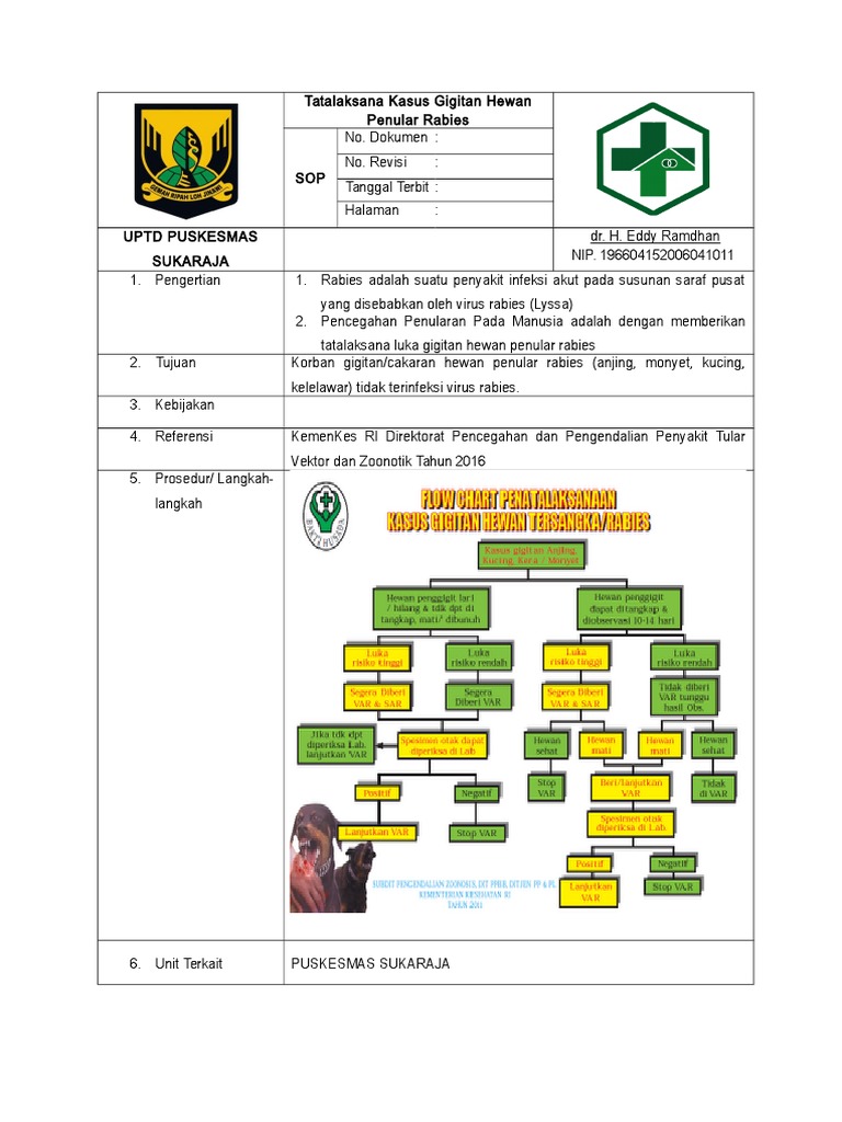 Format SOP Tatalaksana Kasus GHPR | PDF