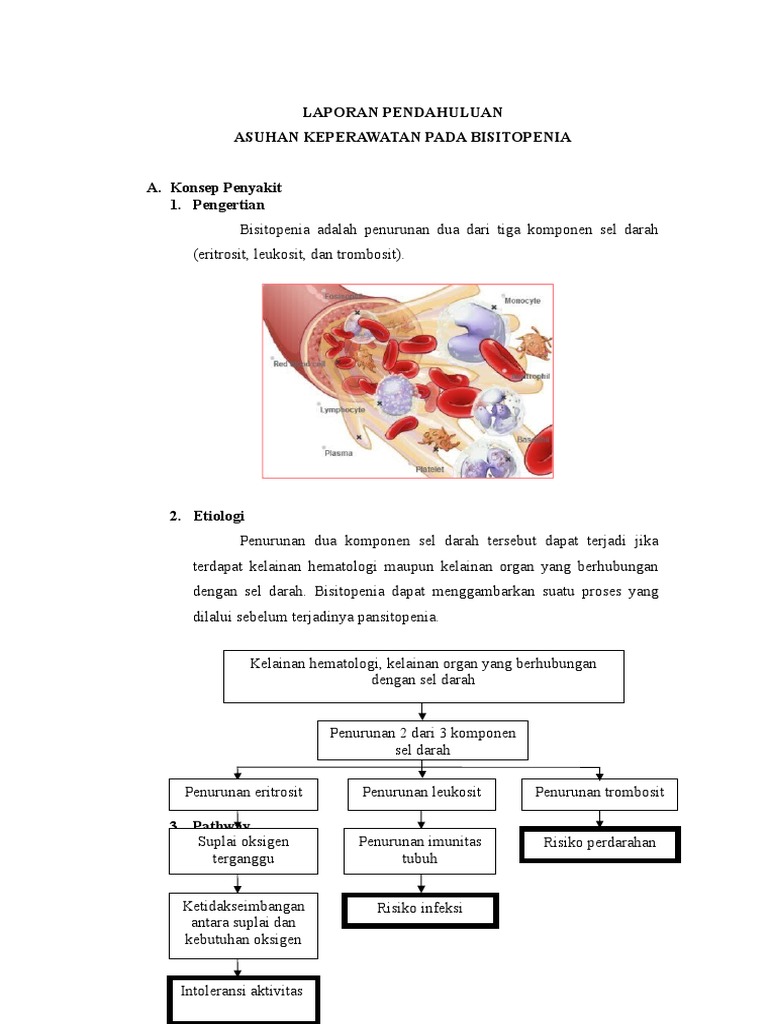 LP Bisitopenia | PDF