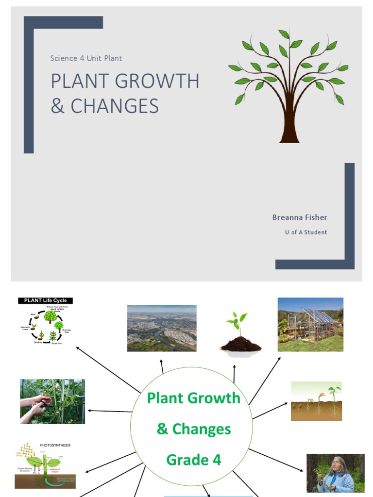 Breannafishergrade 4 Plant Growth Changes Unit Plan | PDF | Plants | Seed