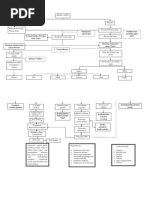 Pathway Syok Sepsis | PDF