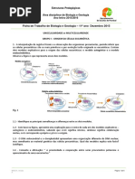 FT - Modelado Carsico | PDF | Geociências | Rochas