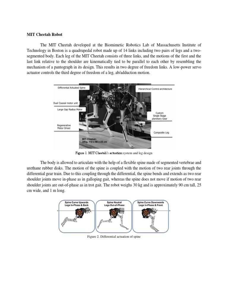 MIT Cheetah Robot: Figure 1. MIT Cheetah's Actuation System and Leg ...