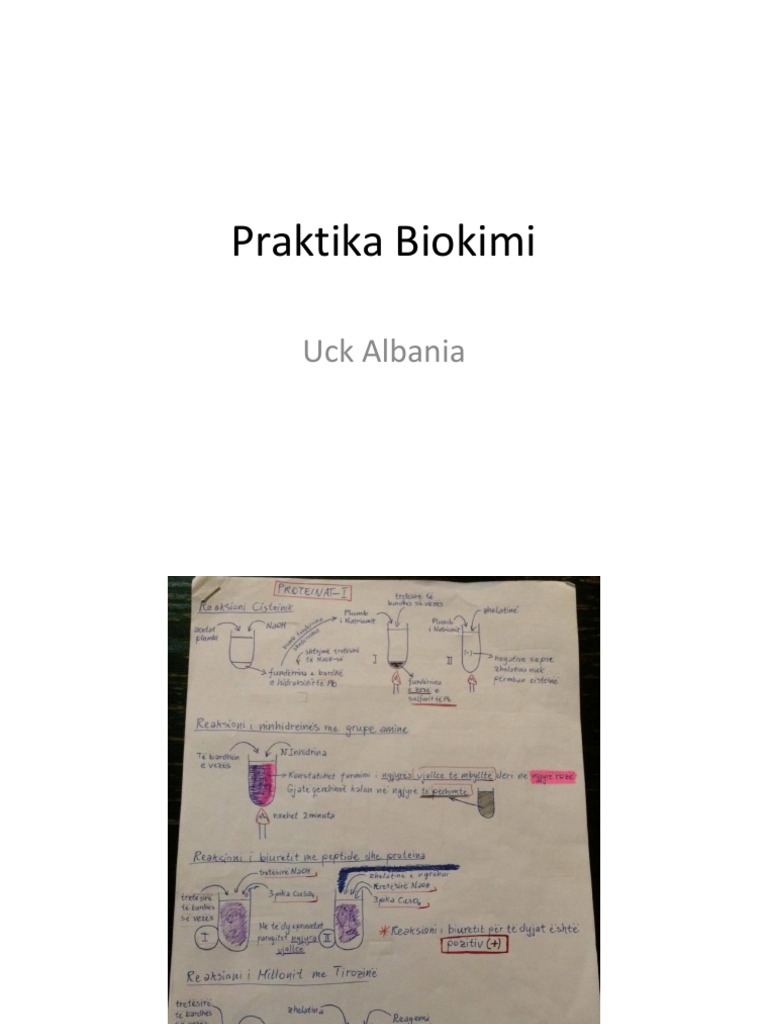 Praktika - Biokimi Mjekësore | PDF